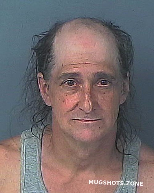 FOLKMAN DAVID SAMUEL 02/11/2024 - Hernando County Mugshots Zone
