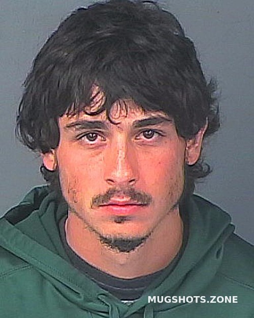 BAUMSTARK ALLAN JAMES 02/16/2024 - Hernando County Mugshots Zone