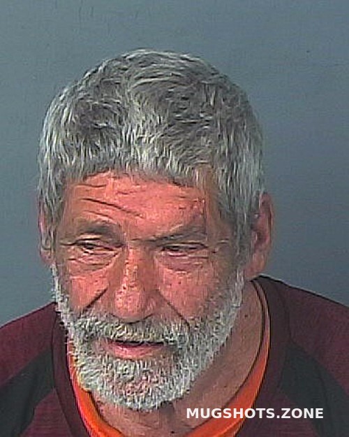 THOMAS DONALD CLAYTON 02/17/2024 - Hernando County Mugshots Zone