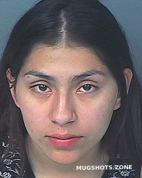 BAEZA MARIA CHRISTINA 02/21/2024 - Hernando County Mugshots Zone