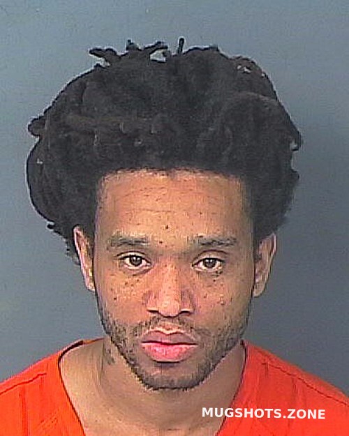 BARNUM RONNIE ANDRE 02/23/2024 - Hernando County Mugshots Zone