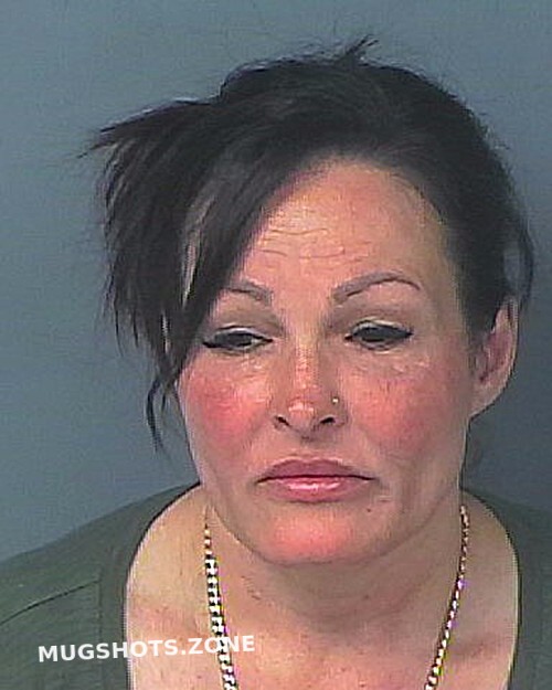 HAMPTON JANICE JOANE 03/14/2024 - Hernando County Mugshots Zone