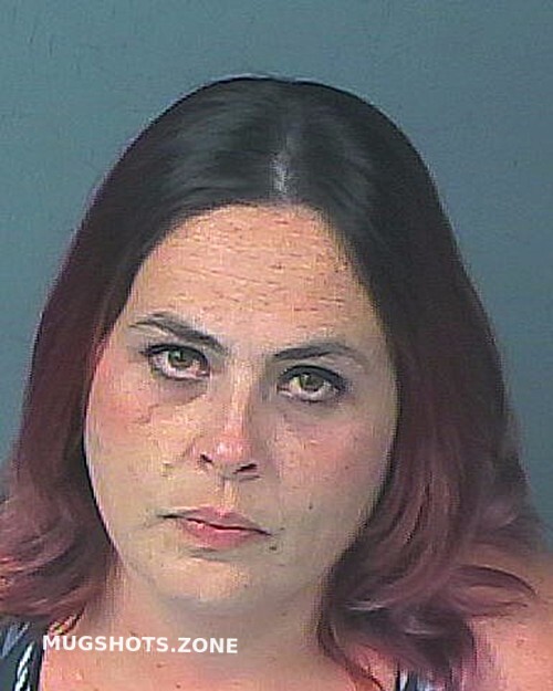 MENDEZ JANELLE LYNN 03/16/2024 - Hernando County Mugshots Zone