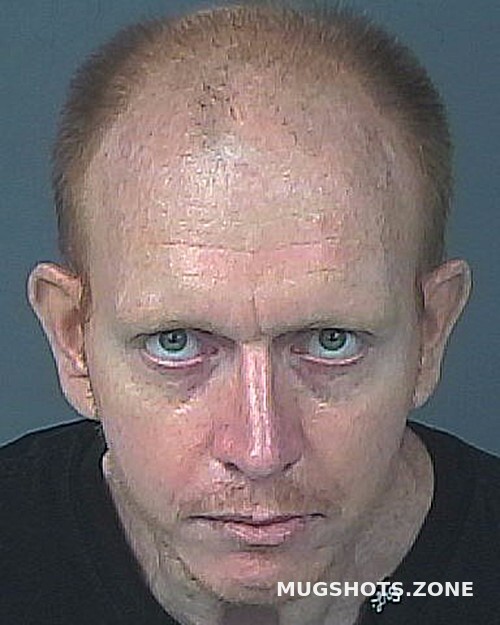PATAKI PETER 03/27/2024 - Hernando County Mugshots Zone