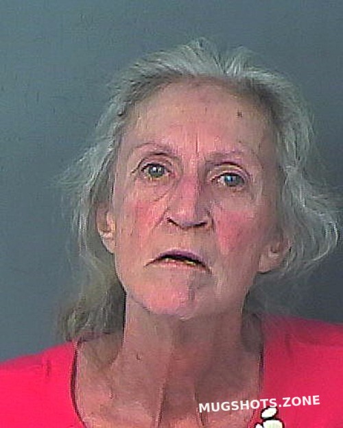 GIBSON DEBORAH 03/28/2024 - Hernando County Mugshots Zone