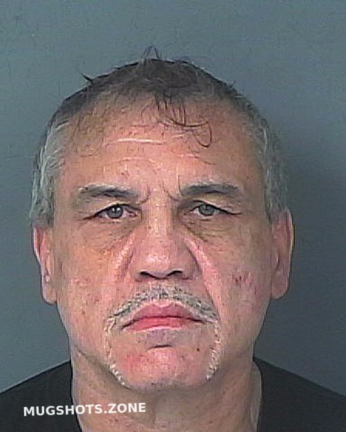 LLOVET LOUIS PATRICK 03/29/2024 - Hernando County Mugshots Zone