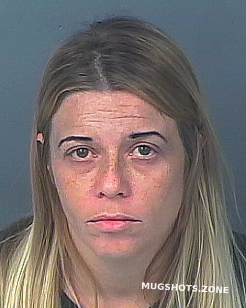 HALE CAROL ANN 03/29/2024 - Hernando County Mugshots Zone