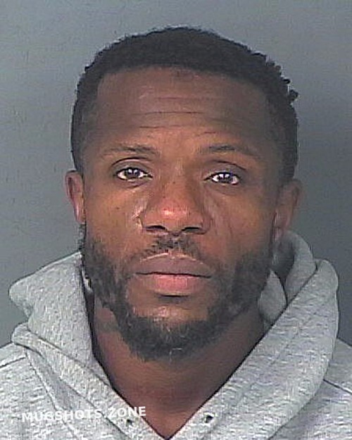 JOHNSON BERT WILLIAM 04/04/2024 - Hernando County Mugshots Zone