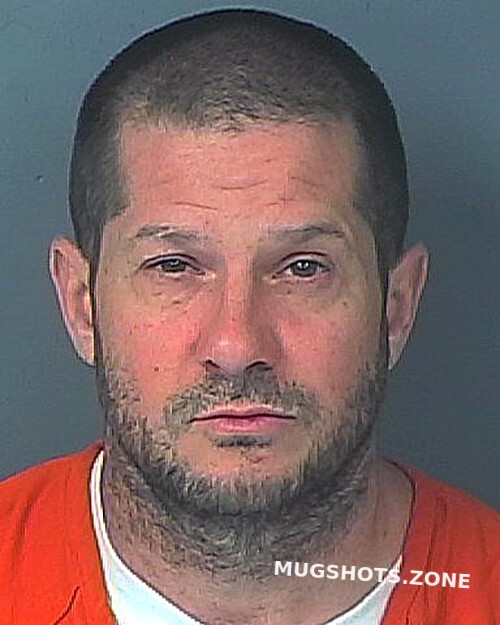 LOGUE DENNIS MICHAEL 04/04/2024 - Hernando County Mugshots Zone