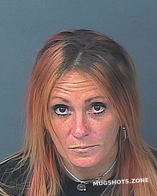 MILLER ASHLEY DAWN 04/06/2024 - Hernando County Mugshots Zone
