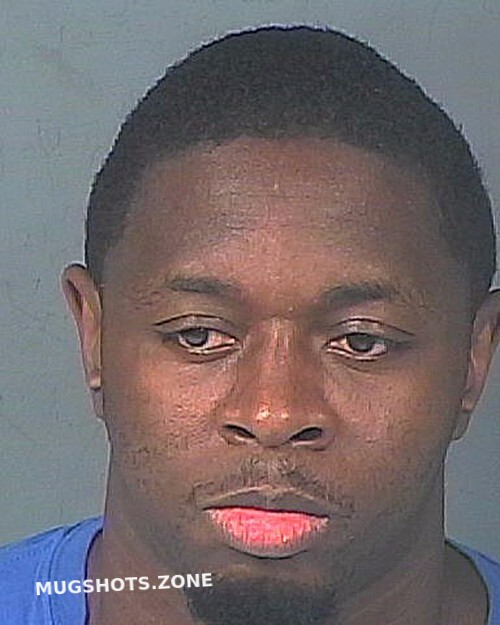 FRAZIER RICHARD LEONARD 04/23/2024 - Hernando County Mugshots Zone