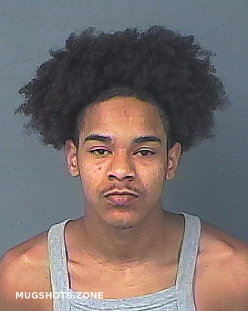 QUIROZ JASON NOLE 04/24/2024 - Hernando County Mugshots Zone