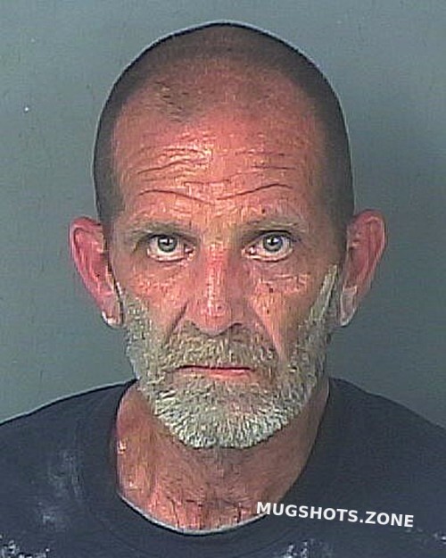 BROWN PATRICK DOUGLAS 04/25/2024 - Hernando County Mugshots Zone BROWN PATRICK DOUGLAS 04/25/2024 - Hernando County Mugshots Zone