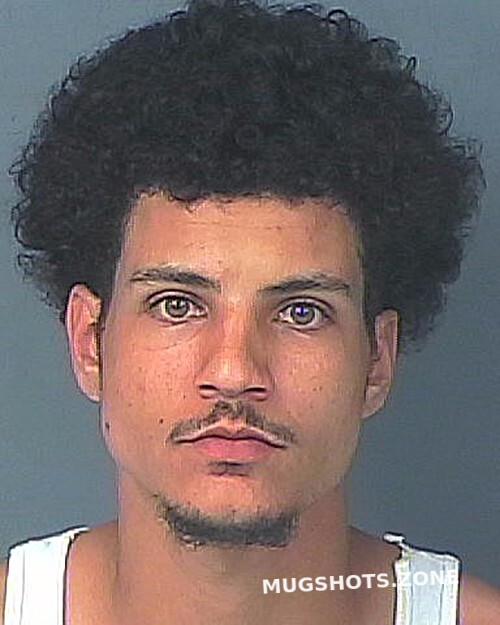 NIBBS KEVIN ANGEL 04/26/2024 - Hernando County Mugshots Zone