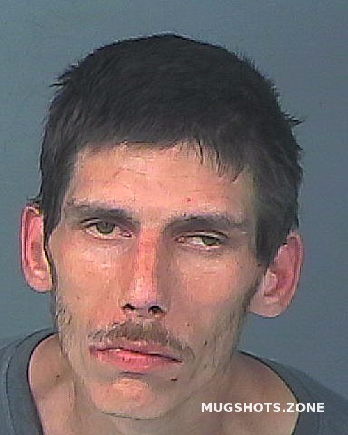 SHEPERD JEREMY 04/29/2024 - Hernando County Mugshots Zone