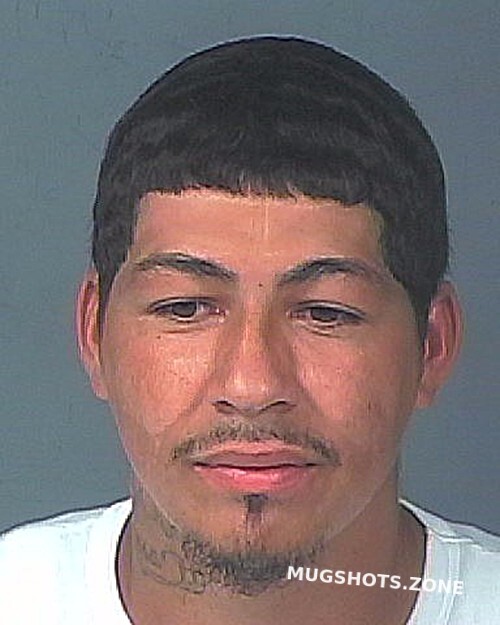 ALVAREZ ANTHONY MICHAEL 04/29/2024 - Hernando County Mugshots Zone