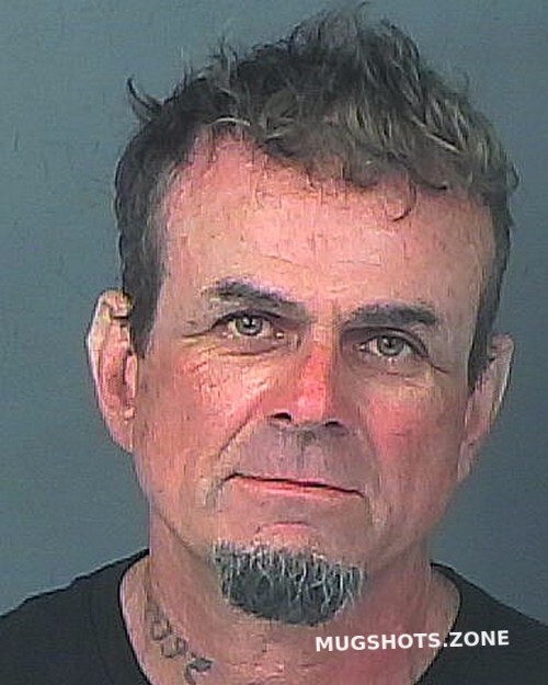 SALERNO SHAD JAMES 05/01/2024 - Hernando County Mugshots Zone