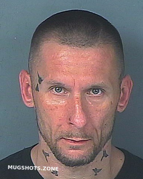 FROHLICH STEVEN THOMAS 05/10/2024 - Hernando County Mugshots Zone