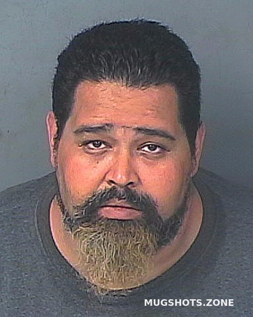 TORRES CHRISTOPHER 05/15/2024 - Hernando County Mugshots Zone