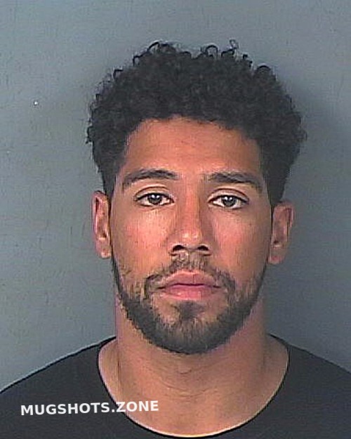 MENA BRIAN NELSON 05/17/2024 - Hernando County Mugshots Zone