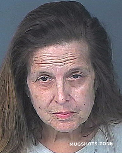 HUGGINS CAROL DEAN 05/19/2024 - Hernando County Mugshots Zone