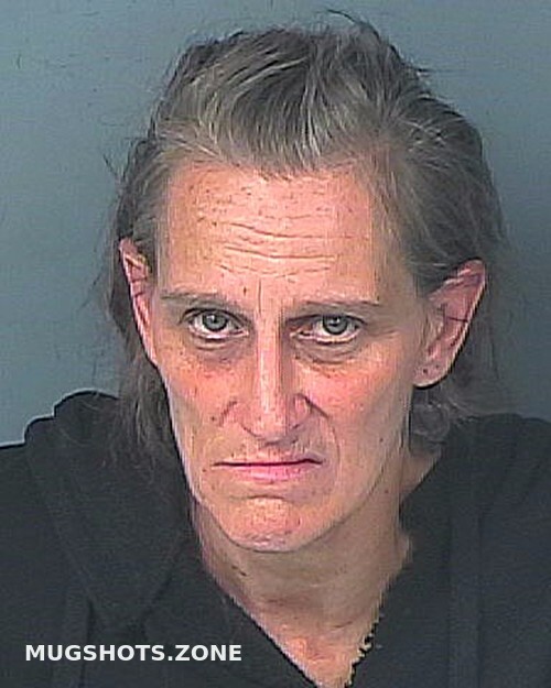QUEEN MICHELLE SHANN 05/29/2024 - Hernando County Mugshots Zone