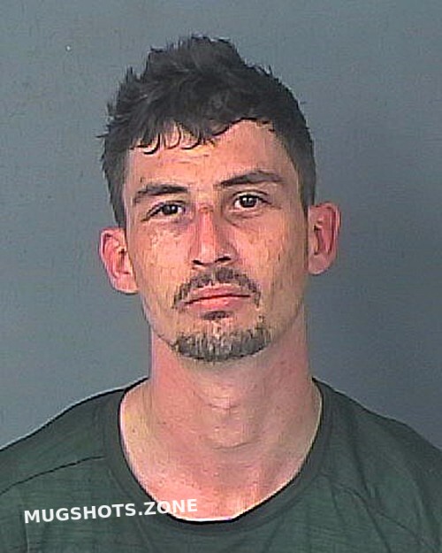 RODRIGUEZ MICHAEL JOHN 06/01/2024 - Hernando County Mugshots Zone