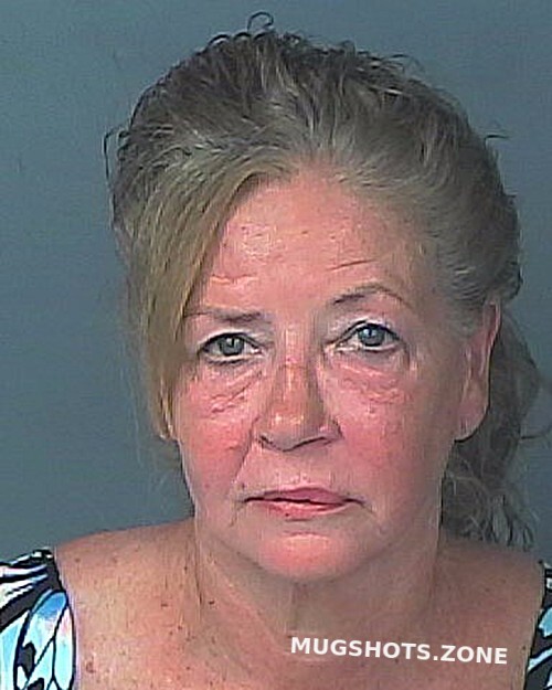 COOK TERESA 06/08/2024 - Hernando County Mugshots Zone
