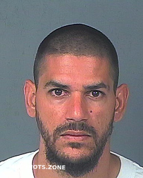 PADRO ADRIAN MICHAEL 06/08/2024 - Hernando County Mugshots Zone