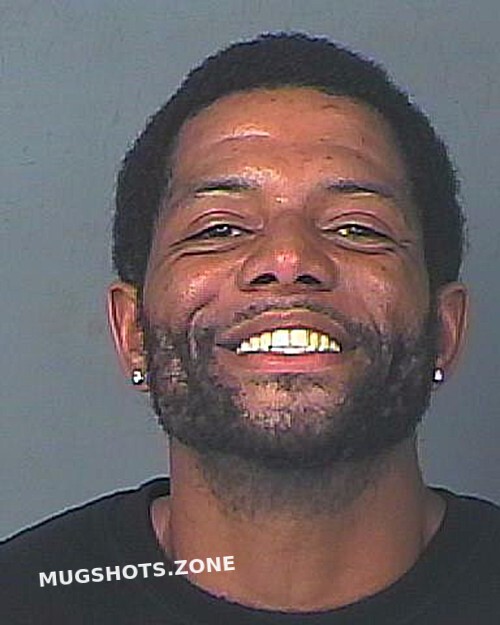 HOLLAND MATTHEW GERARD 06/08/2024 - Hernando County Mugshots Zone