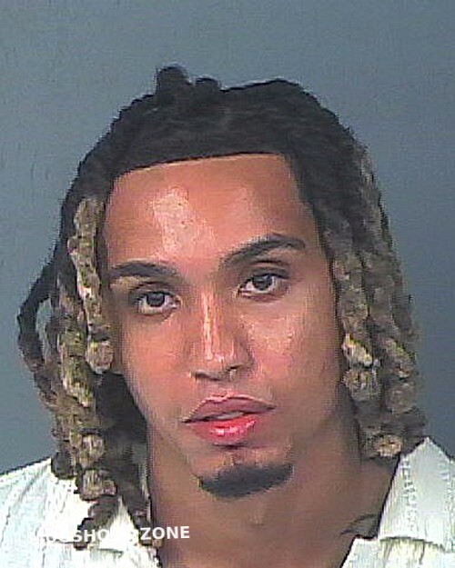 MCCALL JULIAN JEROME 06/16/2024 - Hernando County Mugshots Zone