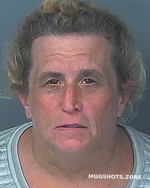 DE MATTEO ROBYN ELIZABETH 06/21/2024 - Hernando County Mugshots Zone