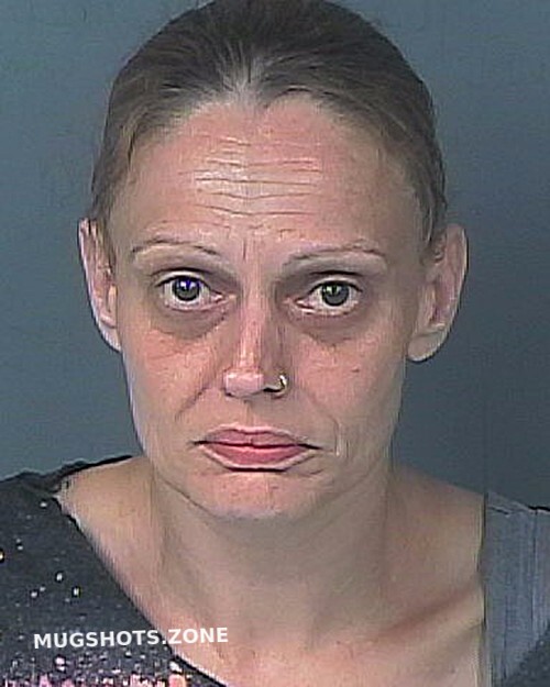 CHEEK ASHLEY ROSE 06/21/2024 - Hernando County Mugshots Zone