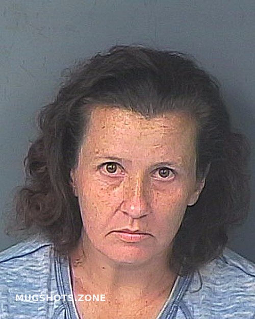 MERCADO LYDIA ANN 06/25/2024 - Hernando County Mugshots Zone