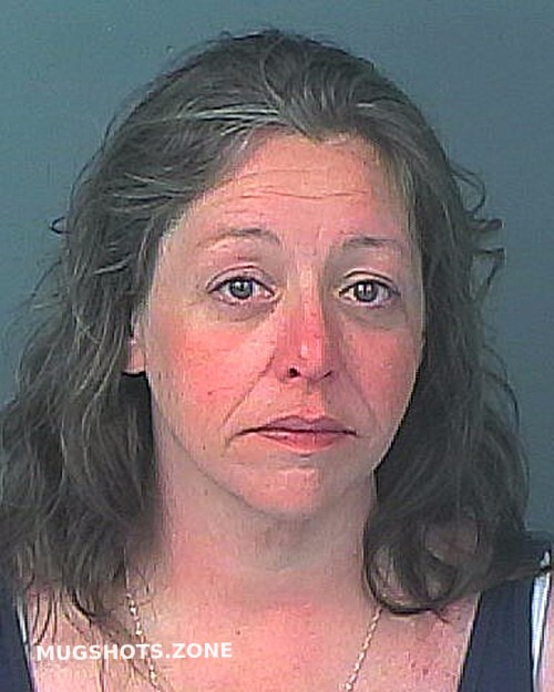 REES KELLY ELAINE 07/02/2024 - Hernando County Mugshots Zone