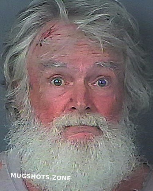 ROSS DOUGLAS ALLAN 07/07/2024 - Hernando County Mugshots Zone