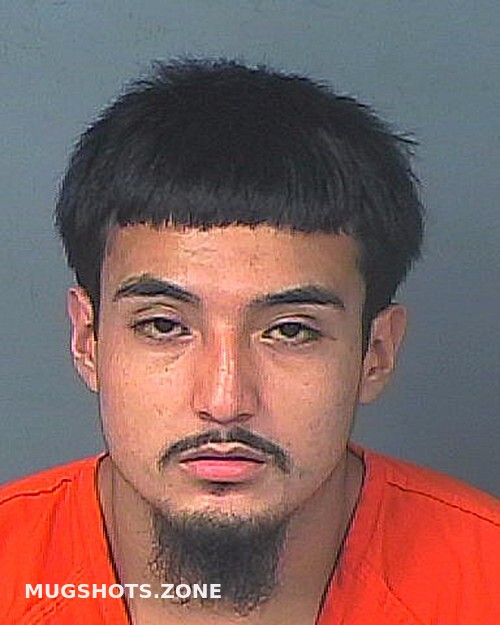 RODRIGUEZ FABIAN XAVIER 07/12/2024 - Hernando County Mugshots Zone