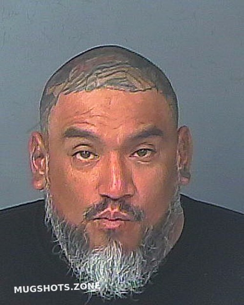 CISNEROS PETER 07/12/2024 - Hernando County Mugshots Zone
