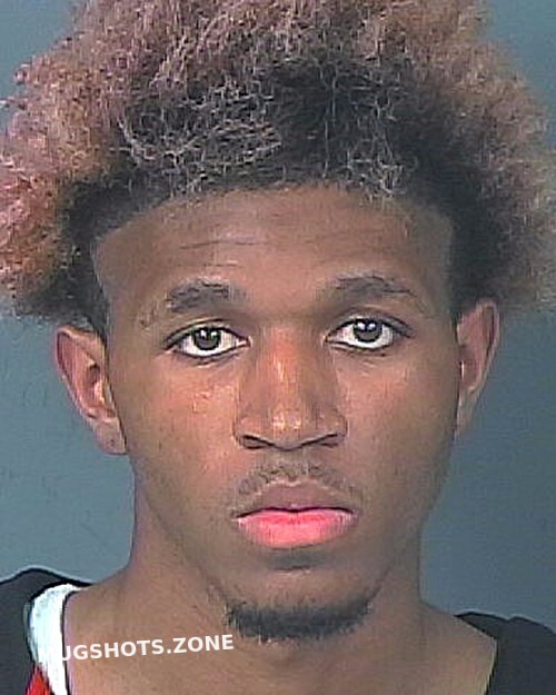 REEVES KRISTOFER JOHN 07/16/2024 - Hernando County Mugshots Zone