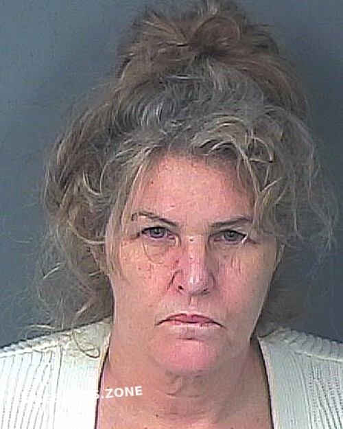 ROSS HELEN 07/20/2024 - Hernando County Mugshots Zone