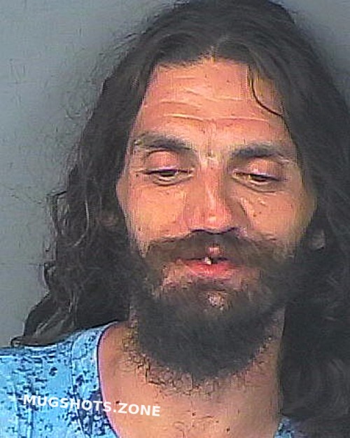 STRONG TIMOTHY FORREST 07/20/2024 - Hernando County Mugshots Zone