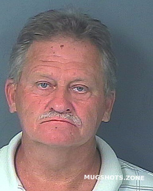 REED JOSEPH PATRICK 07/24/2024 - Hernando County Mugshots Zone