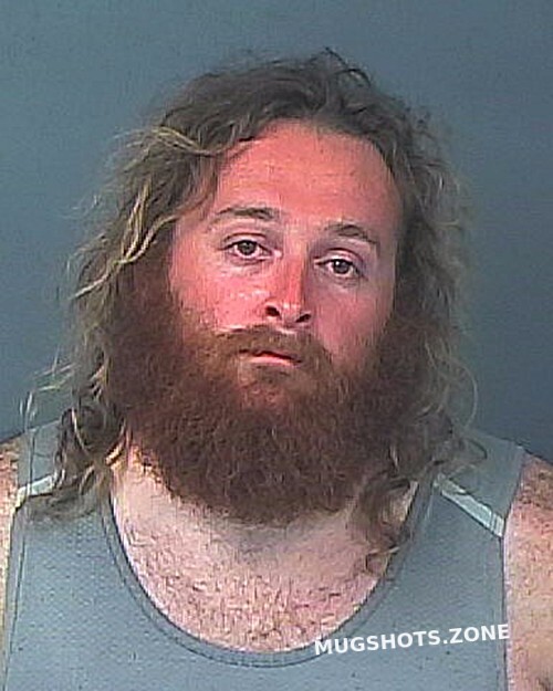 RODEN SEAN MORRIS 07/26/2024 - Hernando County Mugshots Zone