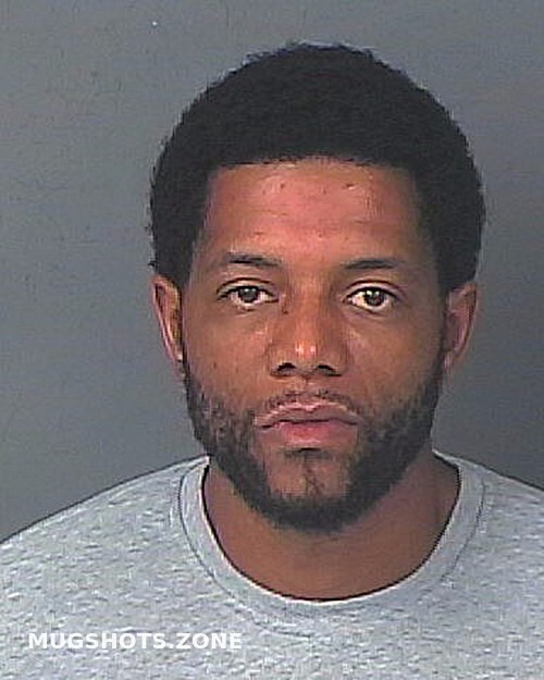 HOLLAND MATTHEW GERARD 07/29/2024 - Hernando County Mugshots Zone
