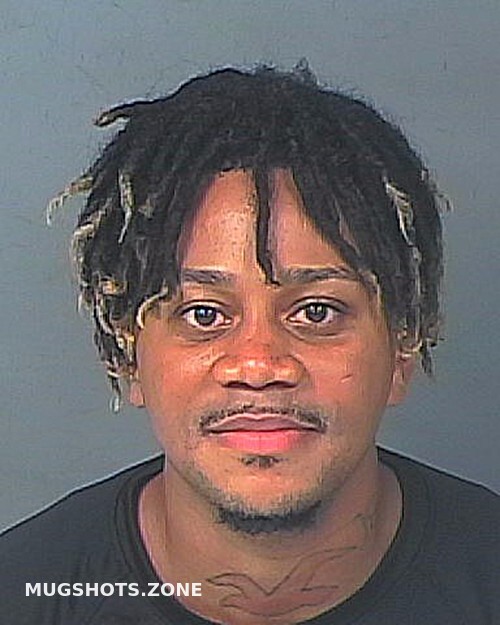 FIELDS MICHAEL EDWARD 07/30/2024 - Hernando County Mugshots Zone