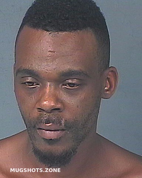 ROUNDTREE MICHAEL JAMEL 08/05/2024 - Hernando County Mugshots Zone