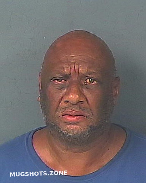 NICHOLSON GARVIN SHELDON 08/07/2024 - Hernando County Mugshots Zone