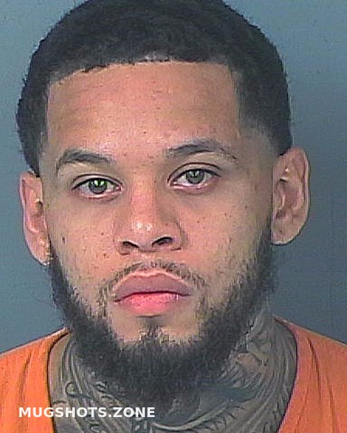 ANDUJAR RIVERA CHRISTIAN 08/09/2024 - Hernando County Mugshots Zone