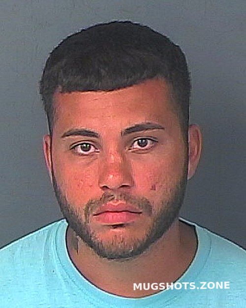 RODRIGUEZ LOUIS 08/12/2024 - Hernando County Mugshots Zone