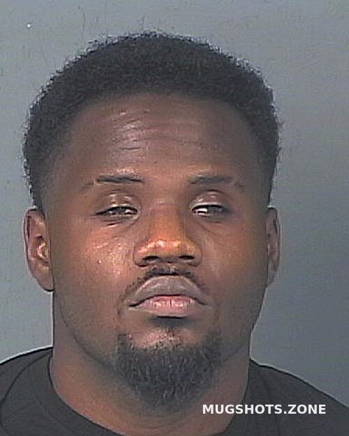WILLIAMS JAYLIN TALIK 08/12/2024 - Hernando County Mugshots Zone